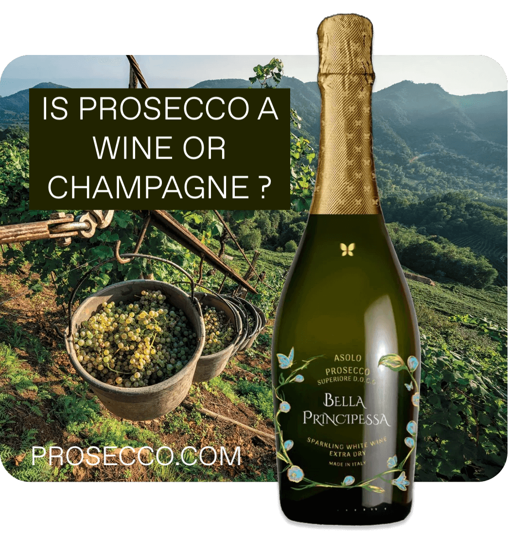 Is Prosecco A Wine Or Champagne? The Ultimate Guide for Delighted Wine Enthusiasts in 2023 ...